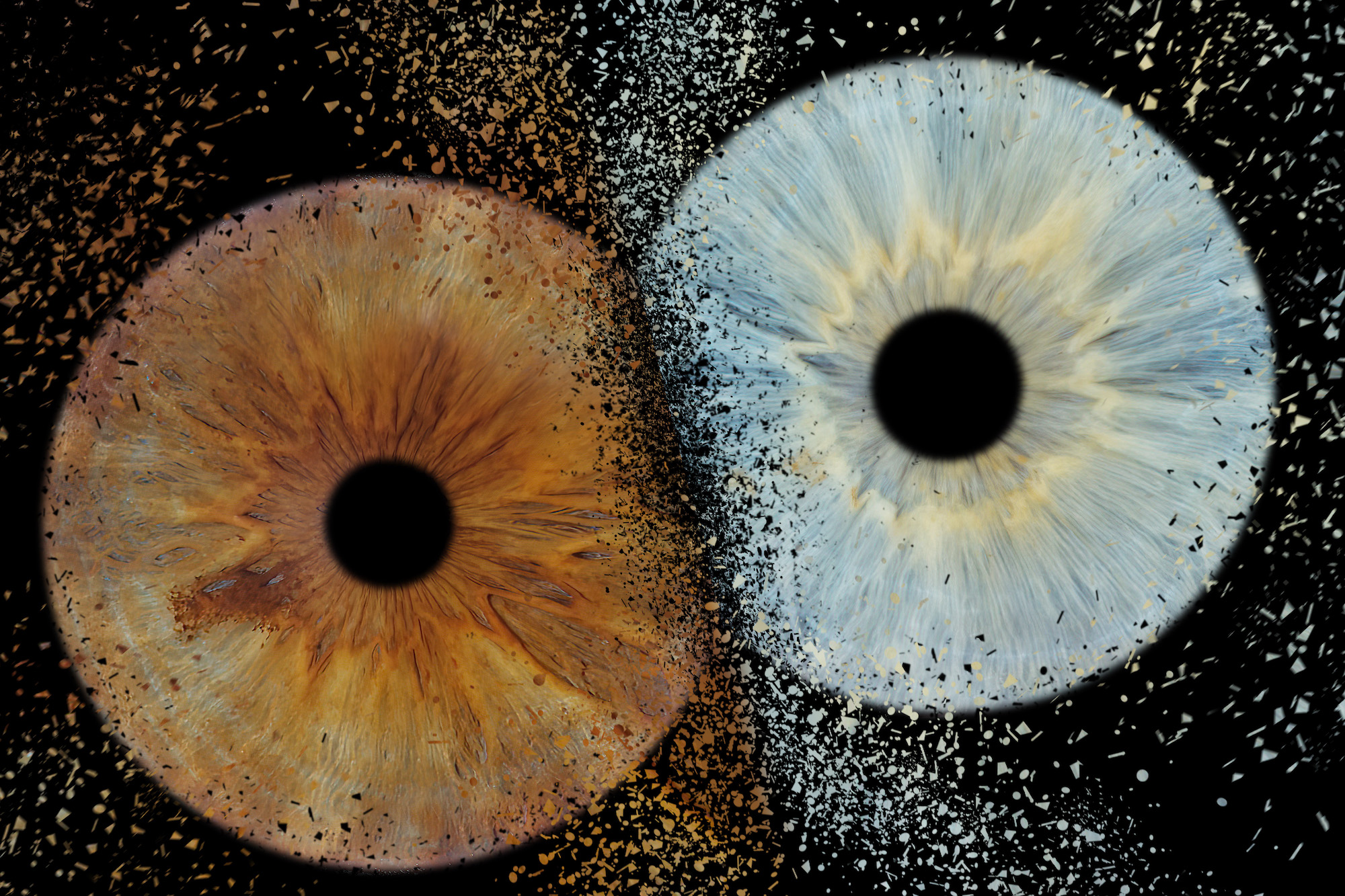 Comment choisir son portrait d'Iris chez Raccoon's Colors ? - Raccoon's ...
